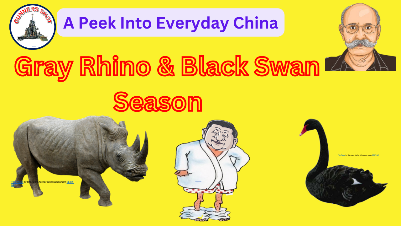 Gray Rhino and Black Swan Season In China – Gunners Shot