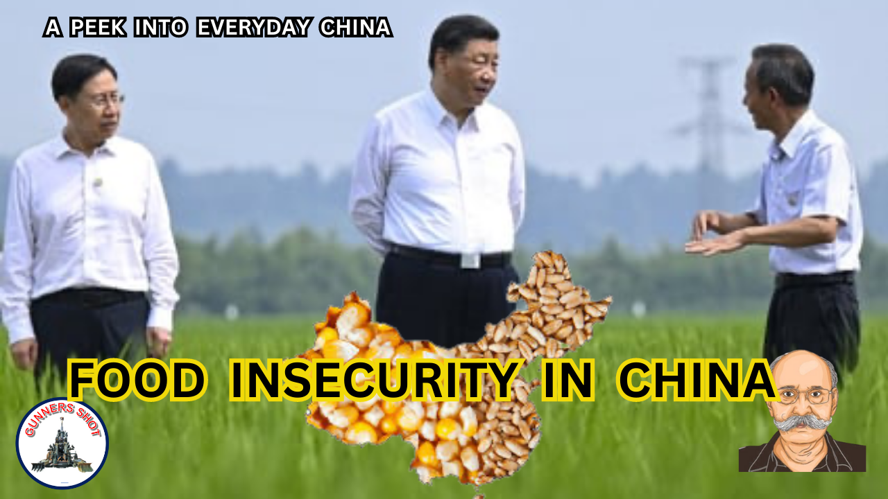 A Peek Into Everyday China :Food Insecurity in China – Gunners Shot